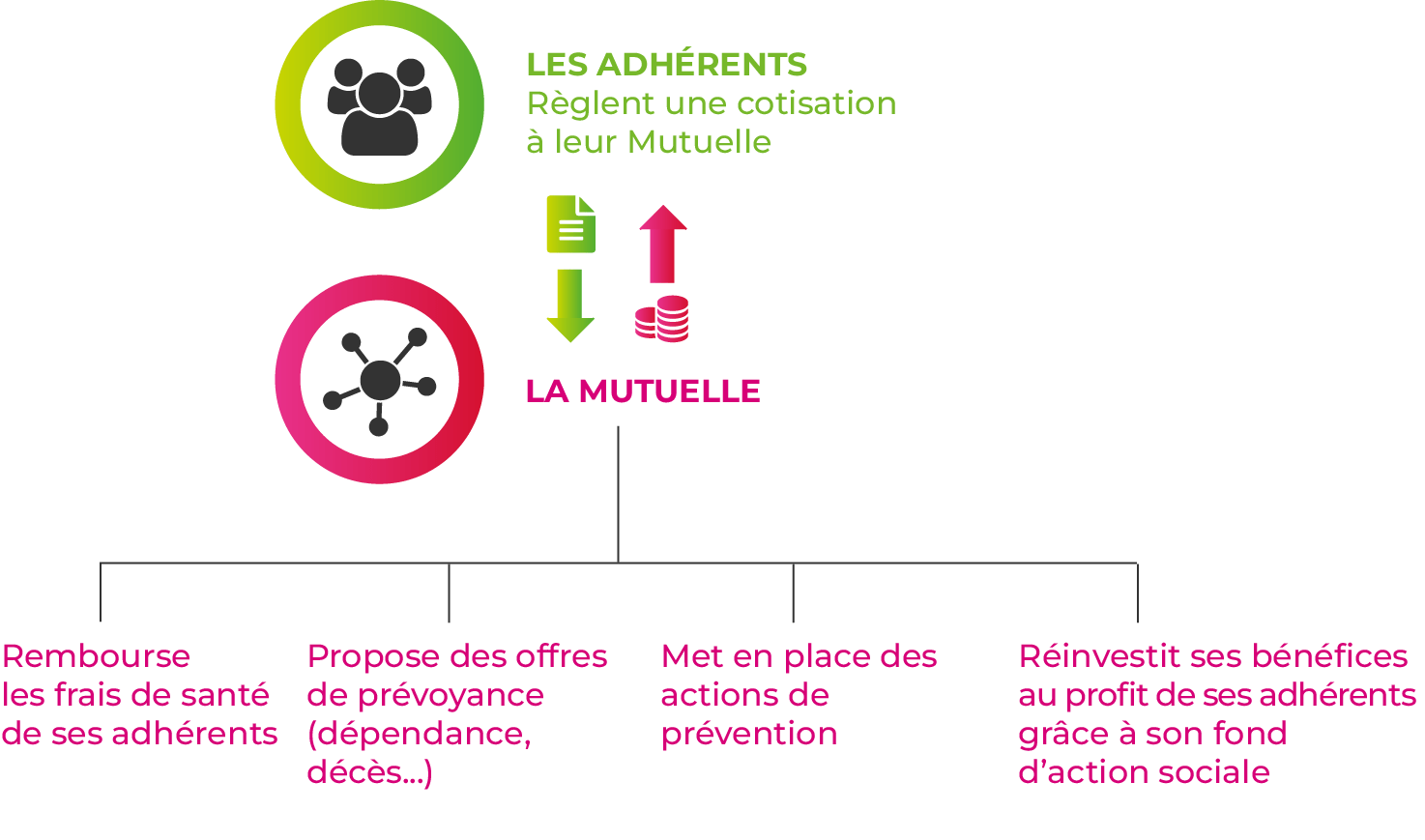 Nos offres d'assurance - Groupe IRCEM
